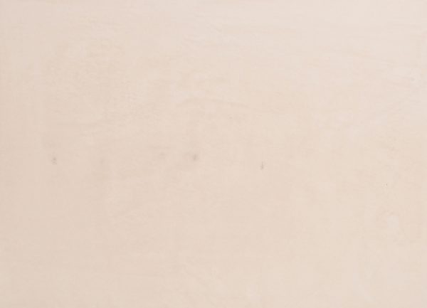 Eggshell Finish | Venetian Plaster by Dulux Acratex