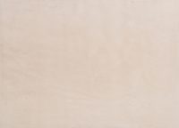 Ivory Finish | Venetian Plaster by Dulux Acratex