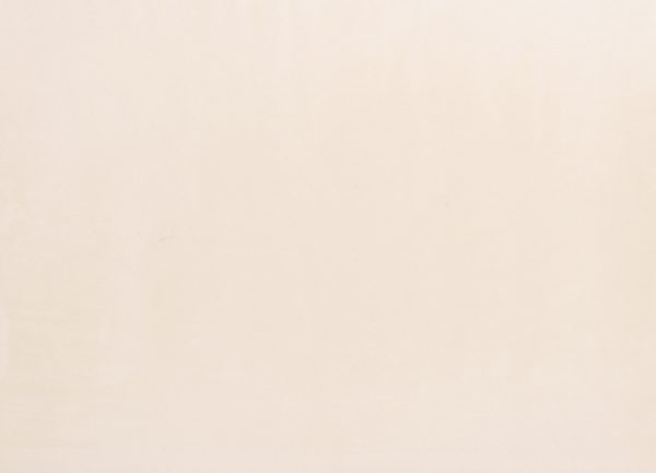 Shifting Sand Finish | Venetian Plaster by Dulux Acratex